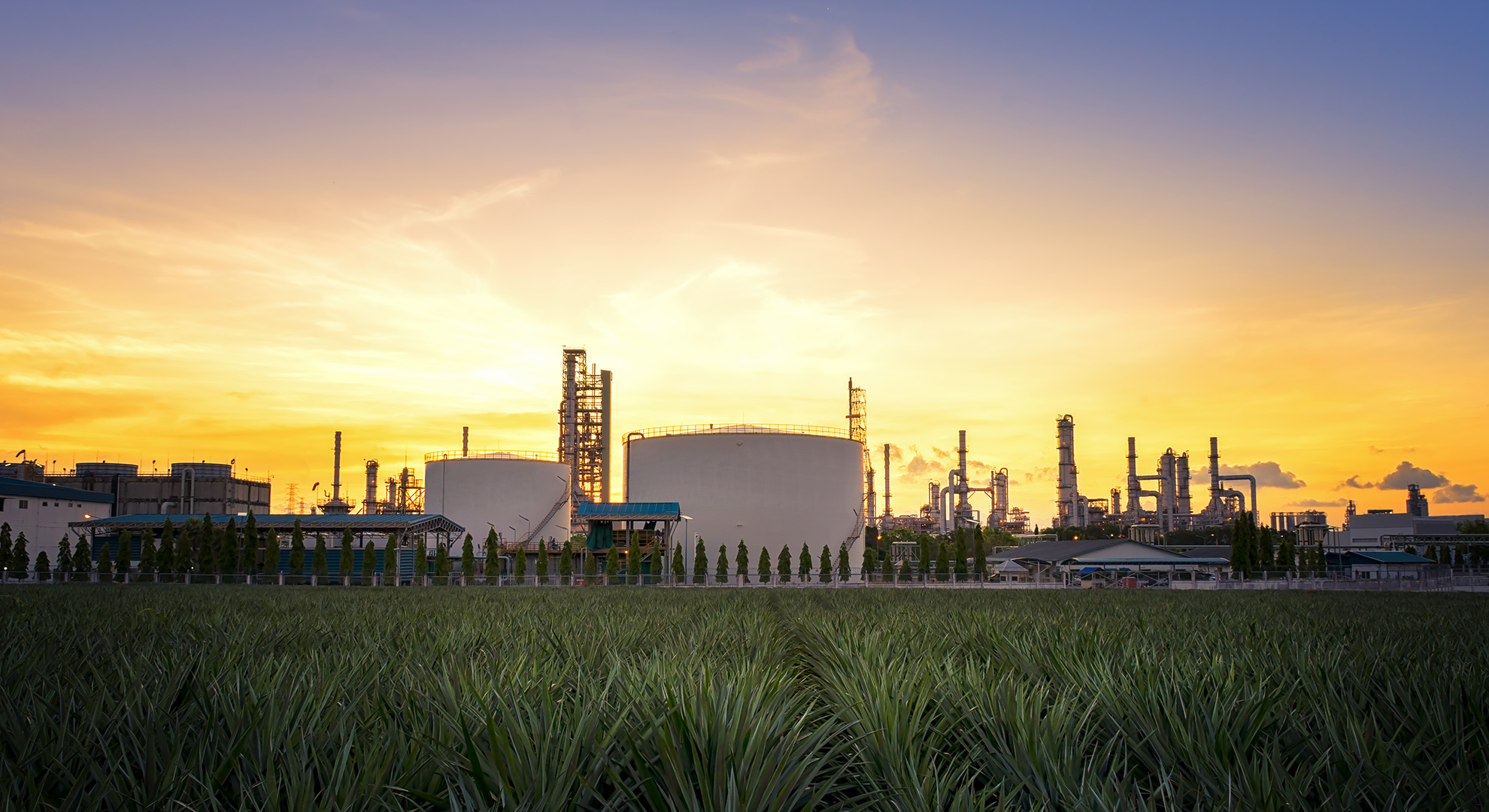 PASH Global Strategic Partnerships - Collaborating with a number of ...