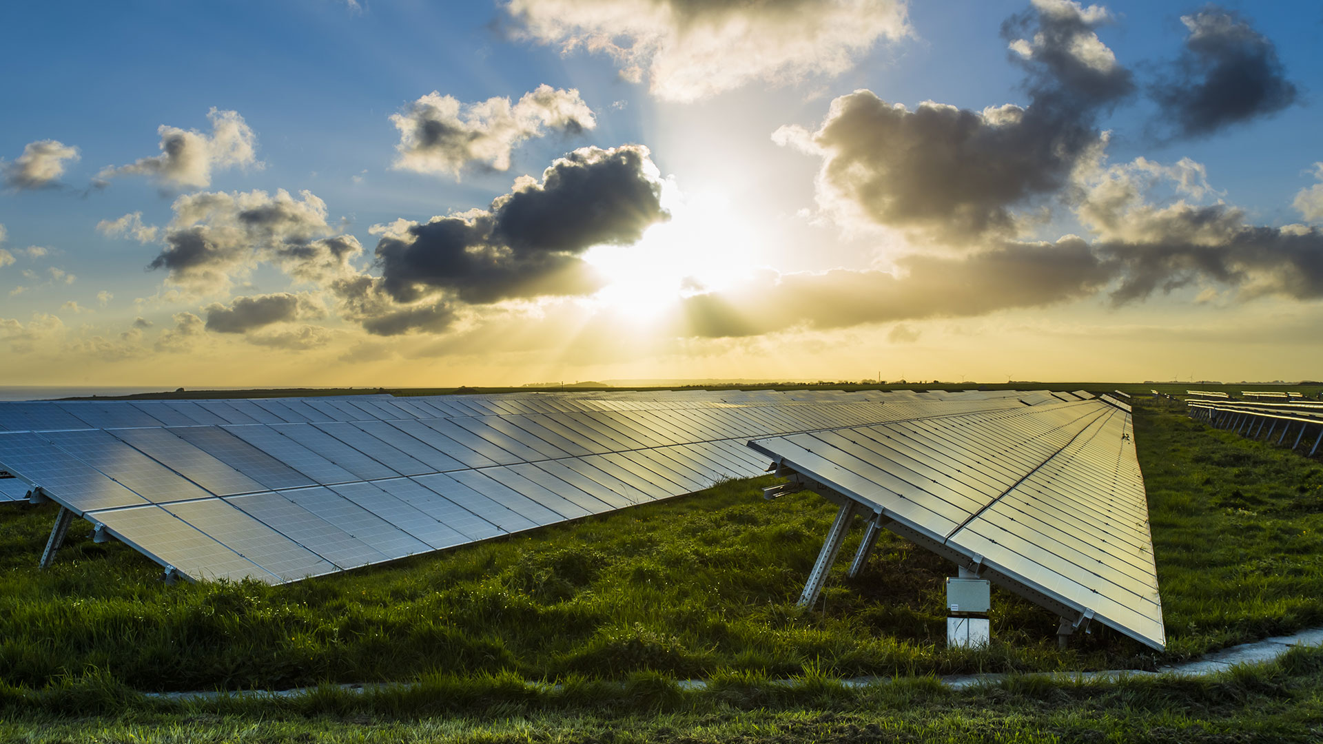 PASH - News Information, Press Release and Media Enquiries